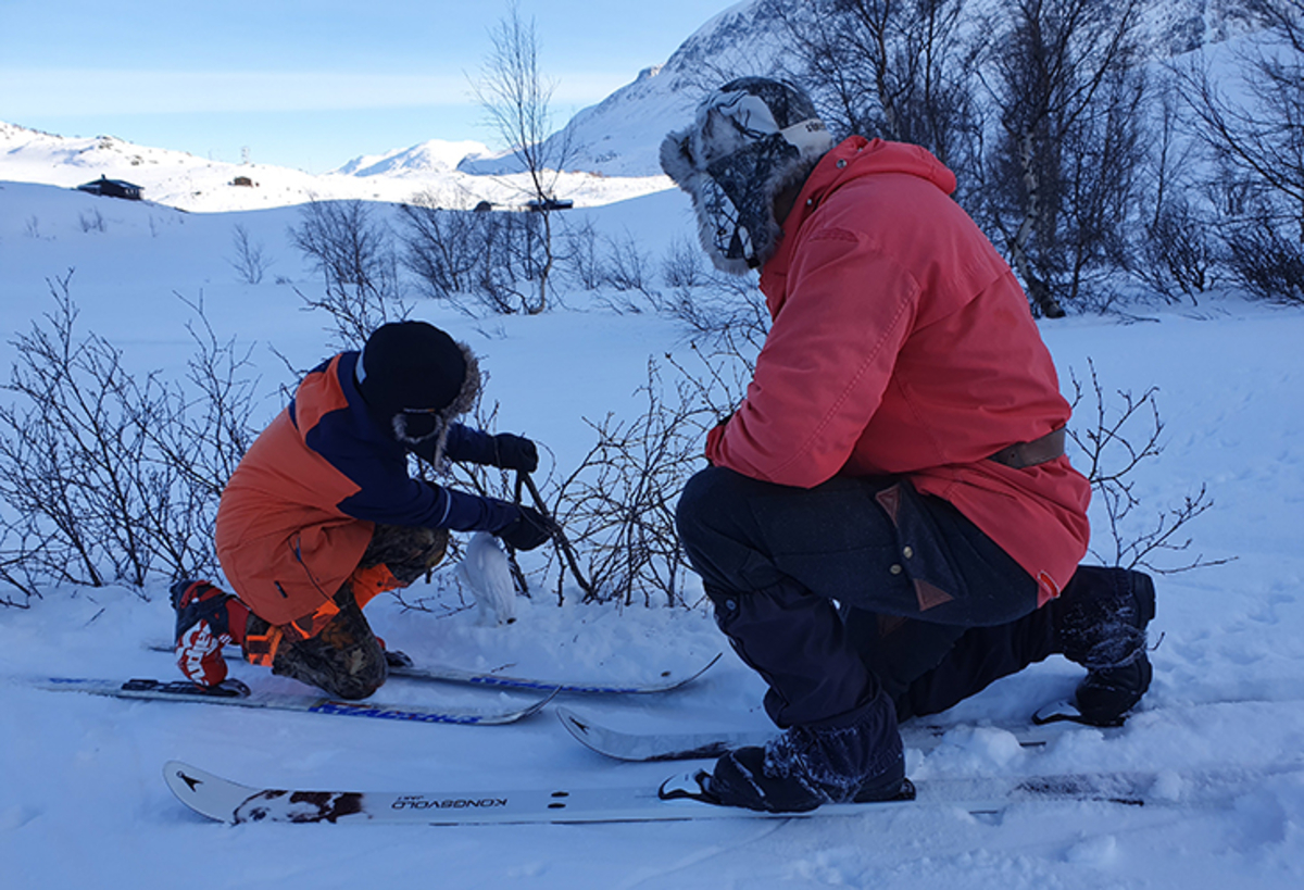 Snarefangst etter rype